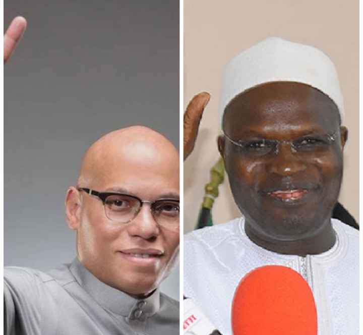 RÉVISION CONSTITUTIONNELLE :LES CANDIDATURES DE KARIM ET KHALIFA ...
